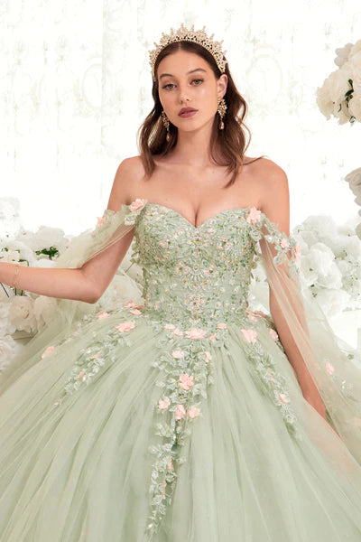 Sage Ball Gown With Blush Floral Details – Aquarius Brand