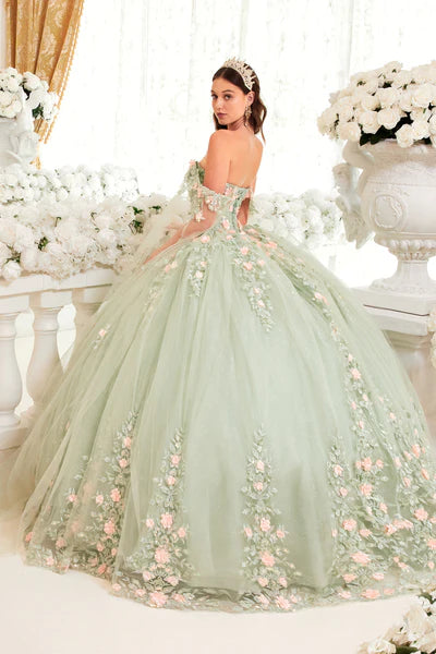 Sage Ball Gown With Blush Floral Details – Aquarius Brand