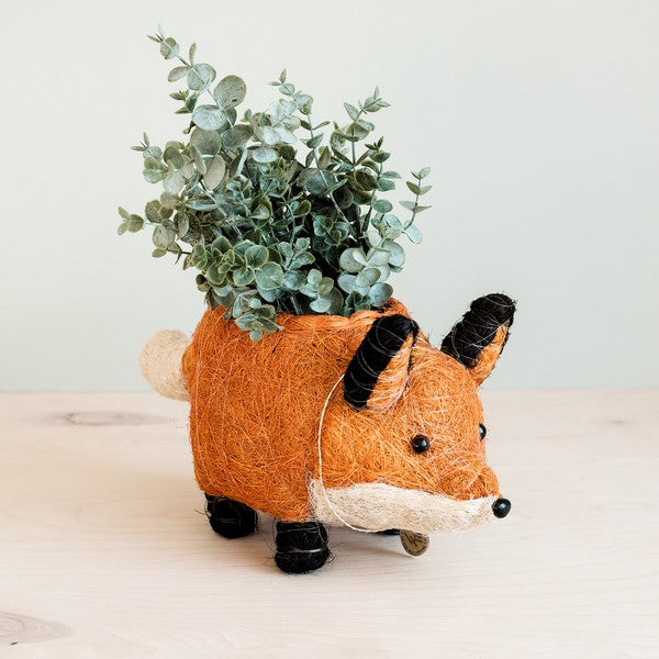 Fox Planter - Coco Coir Planters – Aquarius Brand